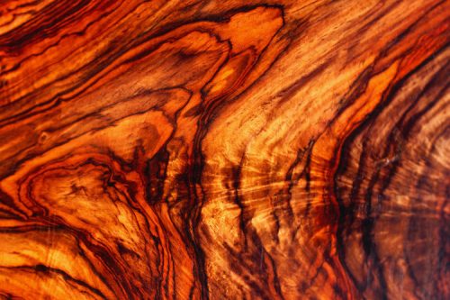 COCOBOLO - Savage Woods