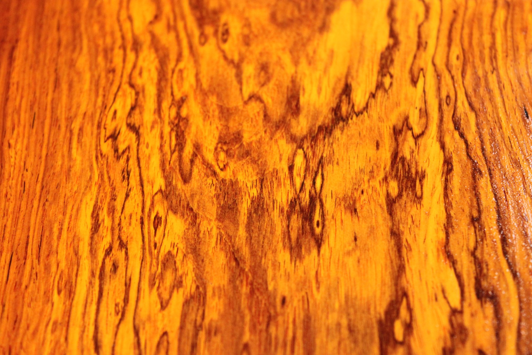 Cocobolo Luthier Billet Savage Woods